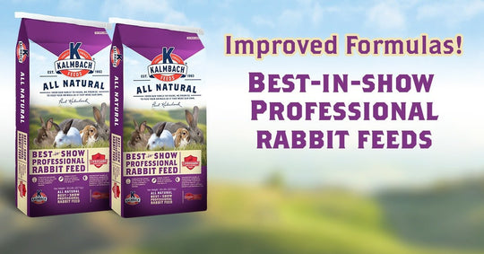 Our Best-In-Show Rabbit Feeds Have Improved! – Kalmbach Feeds®