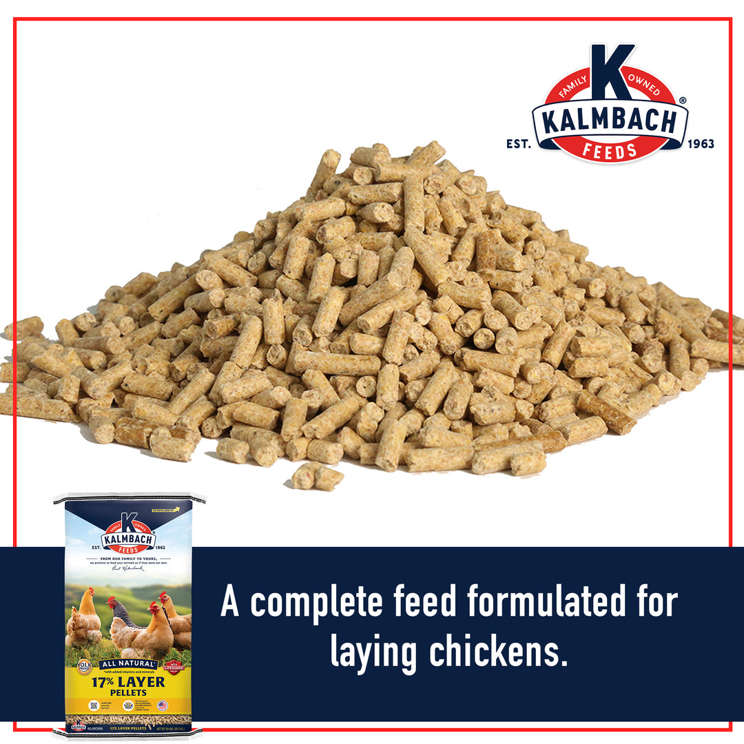 17% All Natural Layer | Chicken Pellets | Kalmbach Feeds®