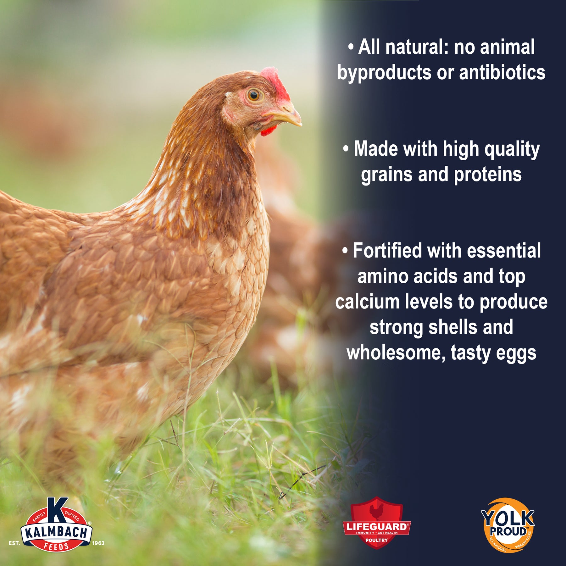 17% All Natural Layer | Chicken Pellets | Kalmbach Feeds®