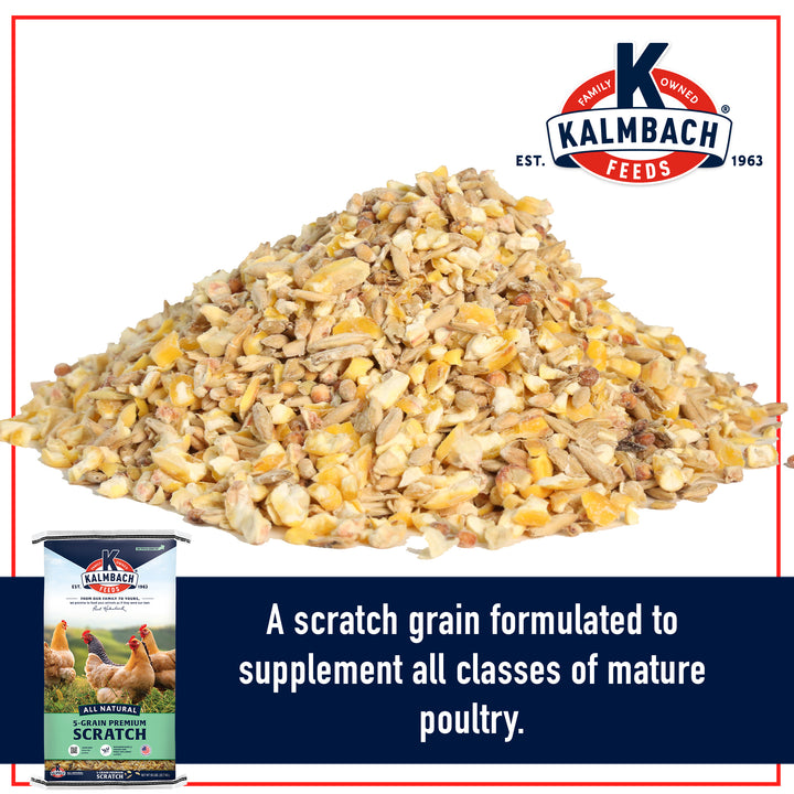 Natural 5-Grain Scratch Feed for Chickens | Kalmbach Feeds®