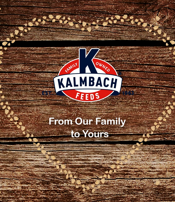 Bantam Chickens: Your Essential Care Guide for Small Breeds – Kalmbach ...