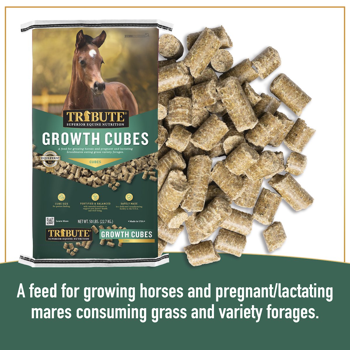 Growth Cubes – Kalmbach Feeds®