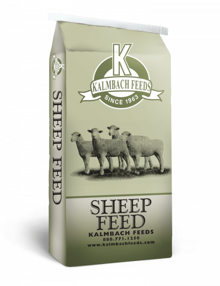 Lamb and Sheep Feed & Supplements – Page 2 – Kalmbach Feeds®