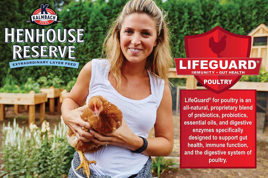 Henhouse Reserve High Protein Chicken Feed | Kalmbach Feeds®