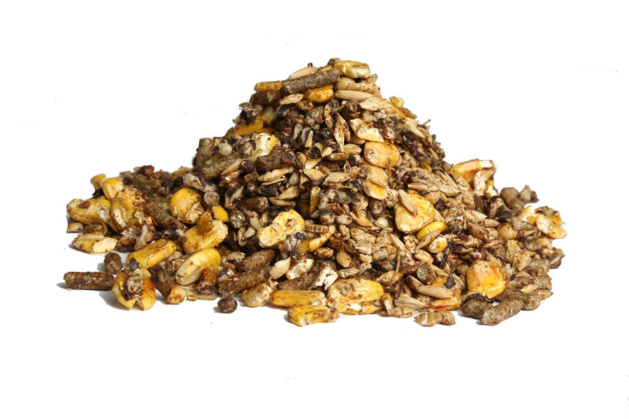 Formula Of Champions Barley Blend Show Cattle Feed | Kalmbach ...