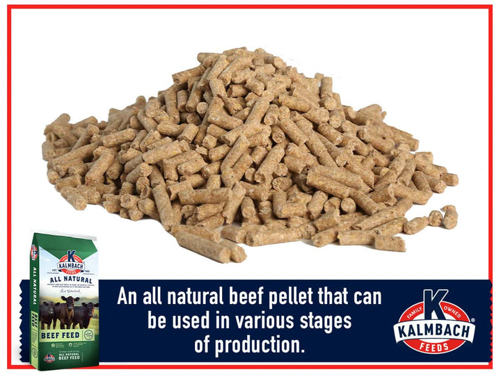 Cattle Feed for Beef Producers – Kalmbach Feeds®