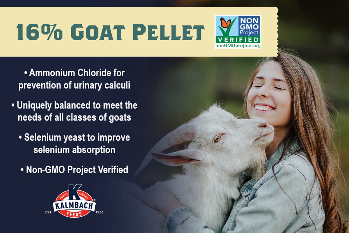 16% Goat Pellet (Non-GMO) – Kalmbach Feeds®