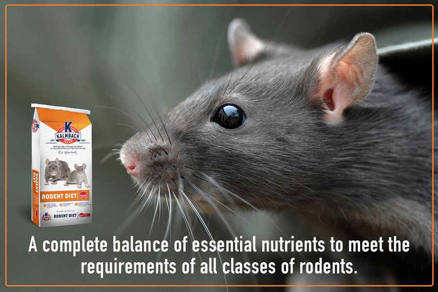 Kalmbach 18% Rodent Diet – Kalmbach Feeds®