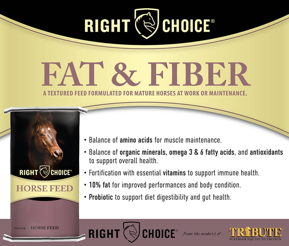 Fat & Fiber – Kalmbach Feeds®