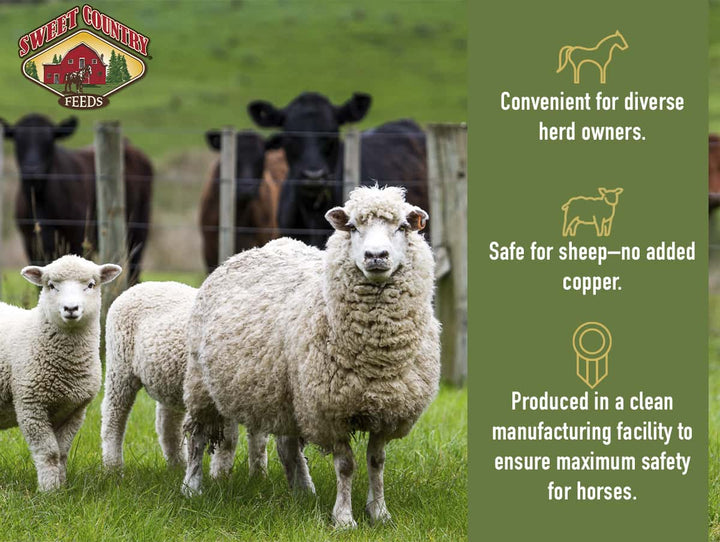 Cattle Feed for Beef Producers – Kalmbach Feeds®