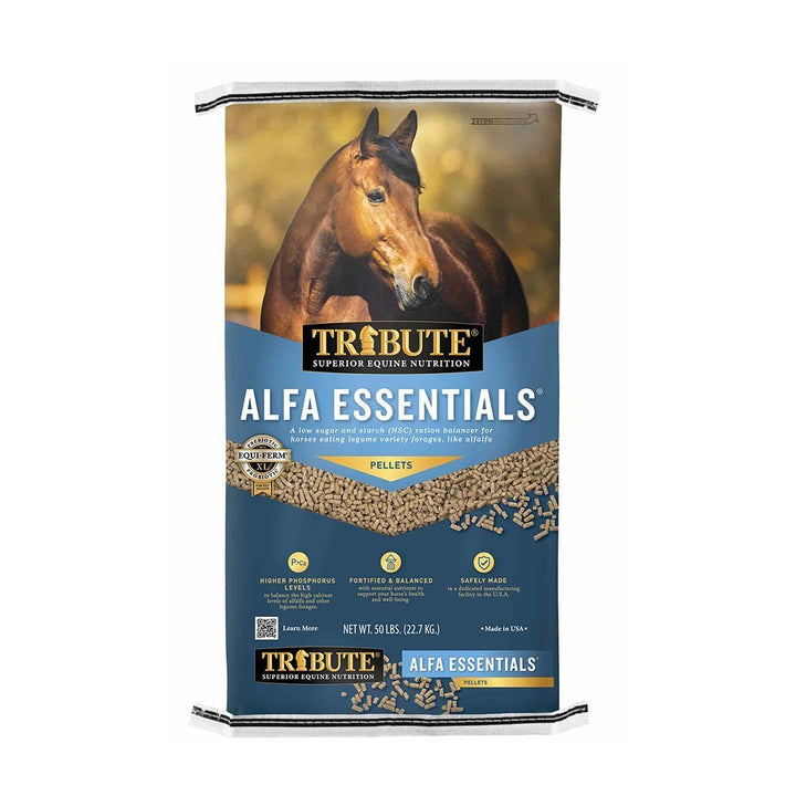 Tribute Equine Nutrition – Kalmbach Feeds®