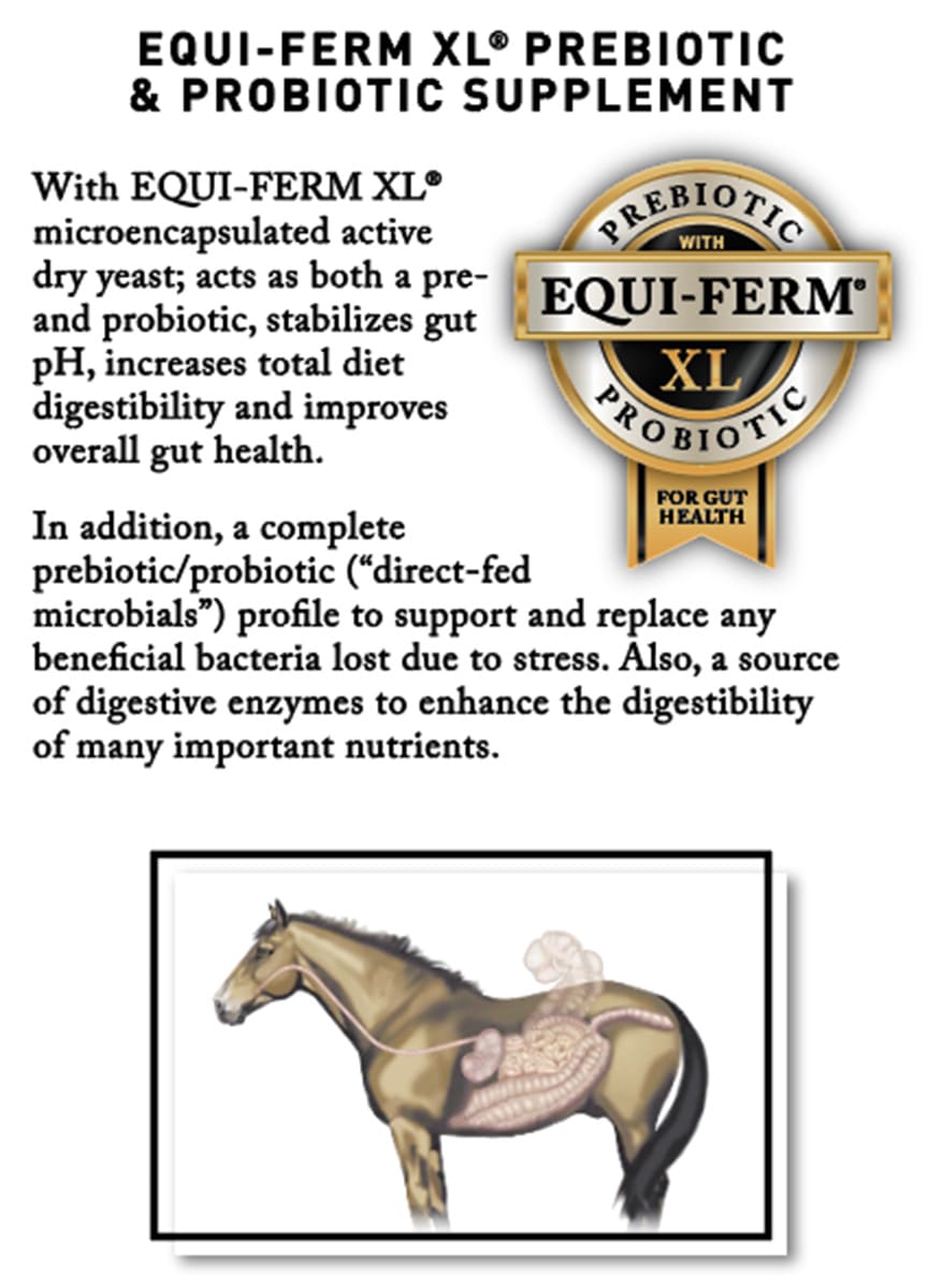 Performance Advantage® – Kalmbach Feeds®