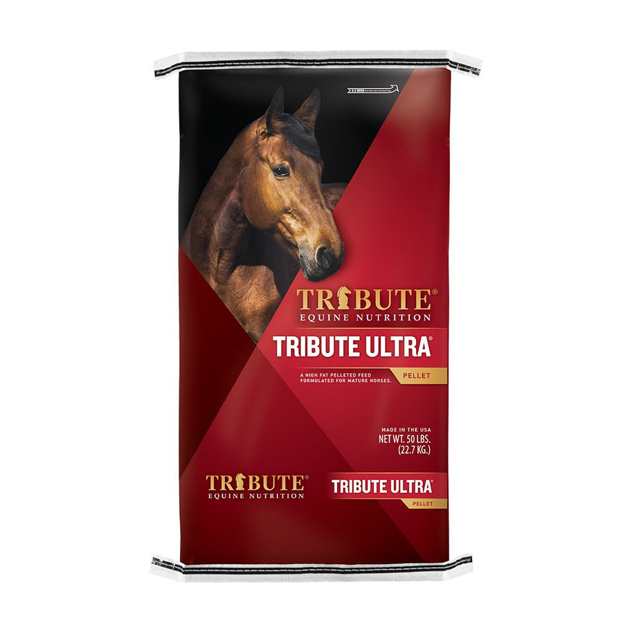 Horse Feed and Supplements – Page 4 – Kalmbach Feeds®